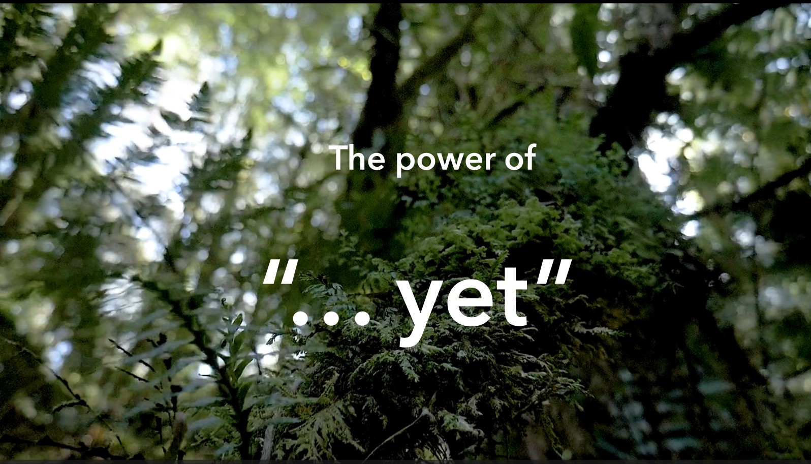 Growth Mindset, the power of “yet” – Working On Happiness
